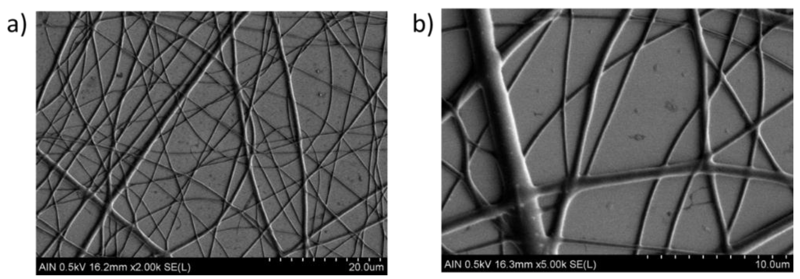 Functionalized Electrospun Fibers for the Design of Novel Hydrophobic and Anticorrosive Surfaces