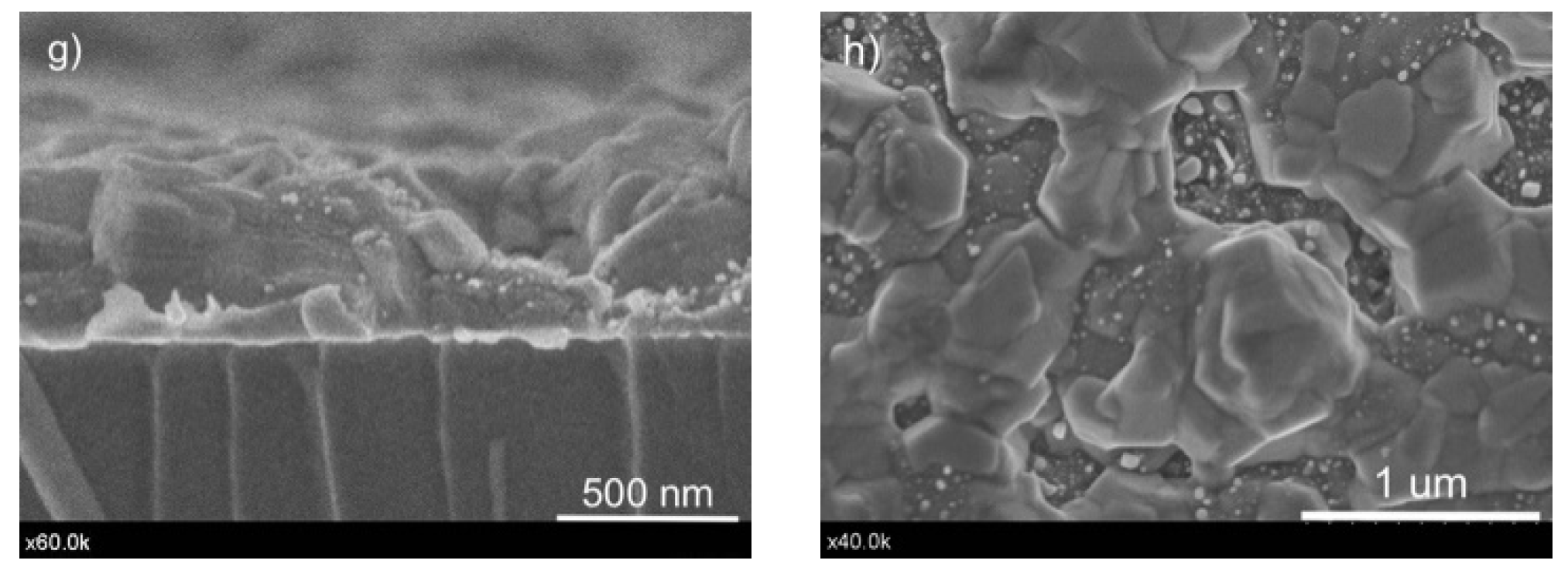 On the Effect of Thin Film Growth Mechanisms on the Specular ...