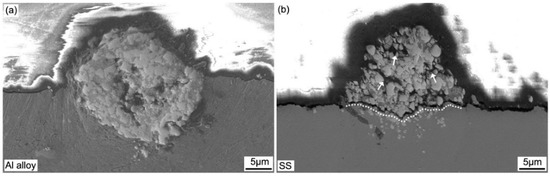 Coatings | Free Full-Text | Numerical and Experimental Investigation on ...