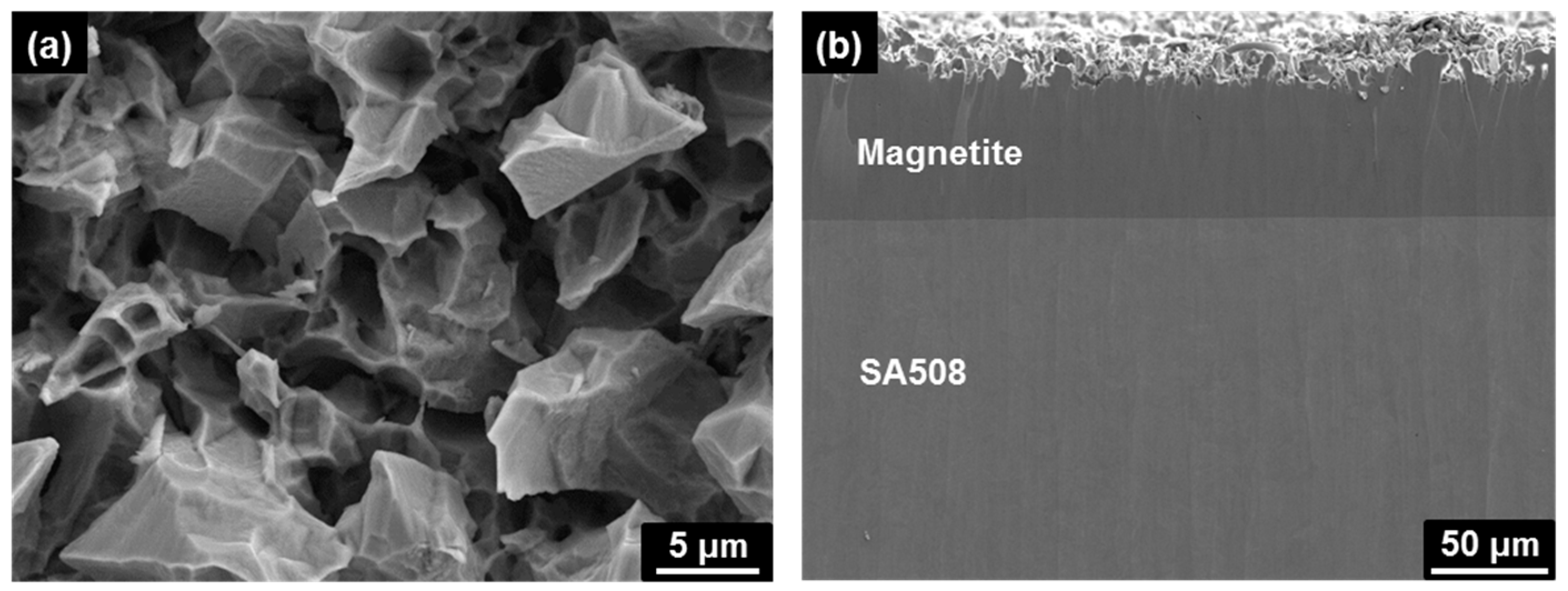 Corrosion Behavior of SA508 Coupled with and without Magnetite in EDTA ...