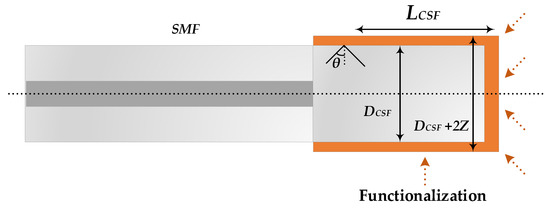 Relative Humidity Fiber Sensor Based on Multimode Interferometer Coated with Agarose-Gel