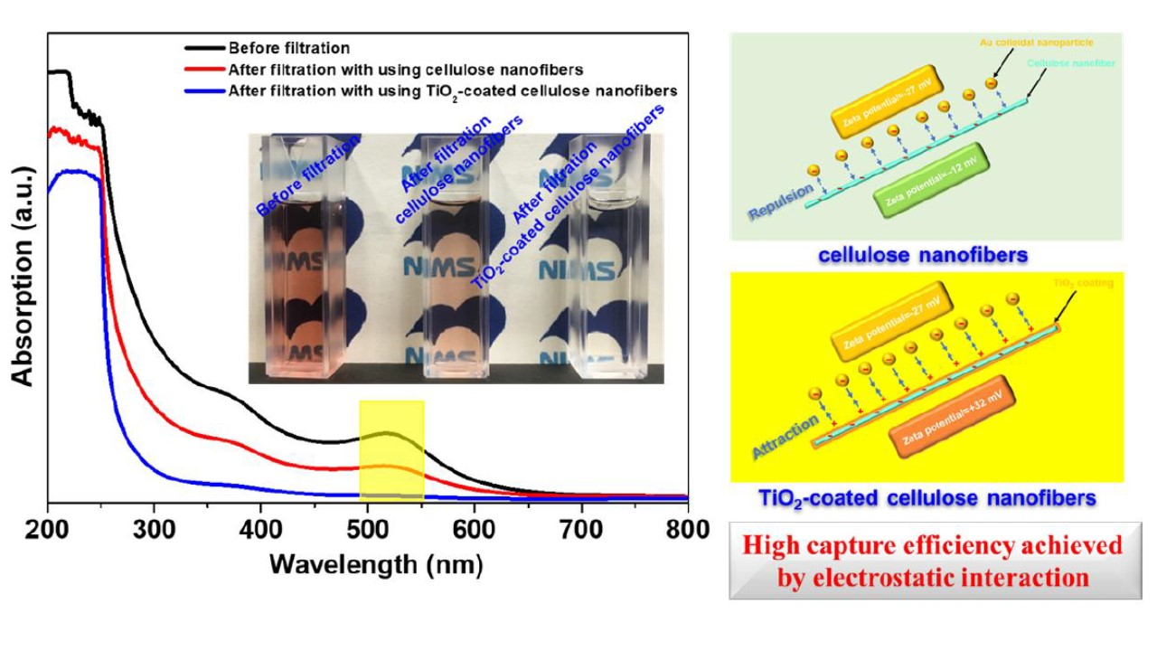 Coatings | Free Full-Text | Surface Modification on Cellulose ...