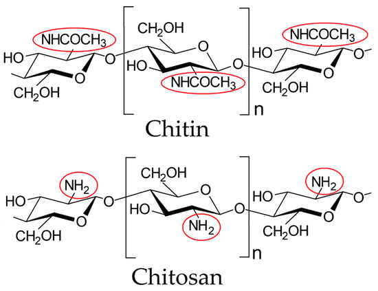 Coatings | Free Full-Text | Chitosan Coating Applications in Probiotic ...