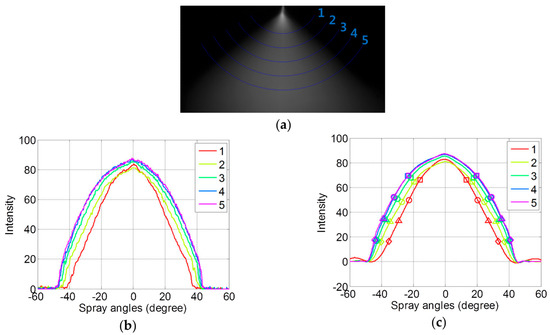 Experimental Qualification of the Process of Electrostatic Spray Deposition