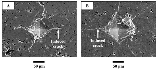 Crack-Growth Behavior in Thermal Barrier Coatings with Cyclic Thermal Exposure