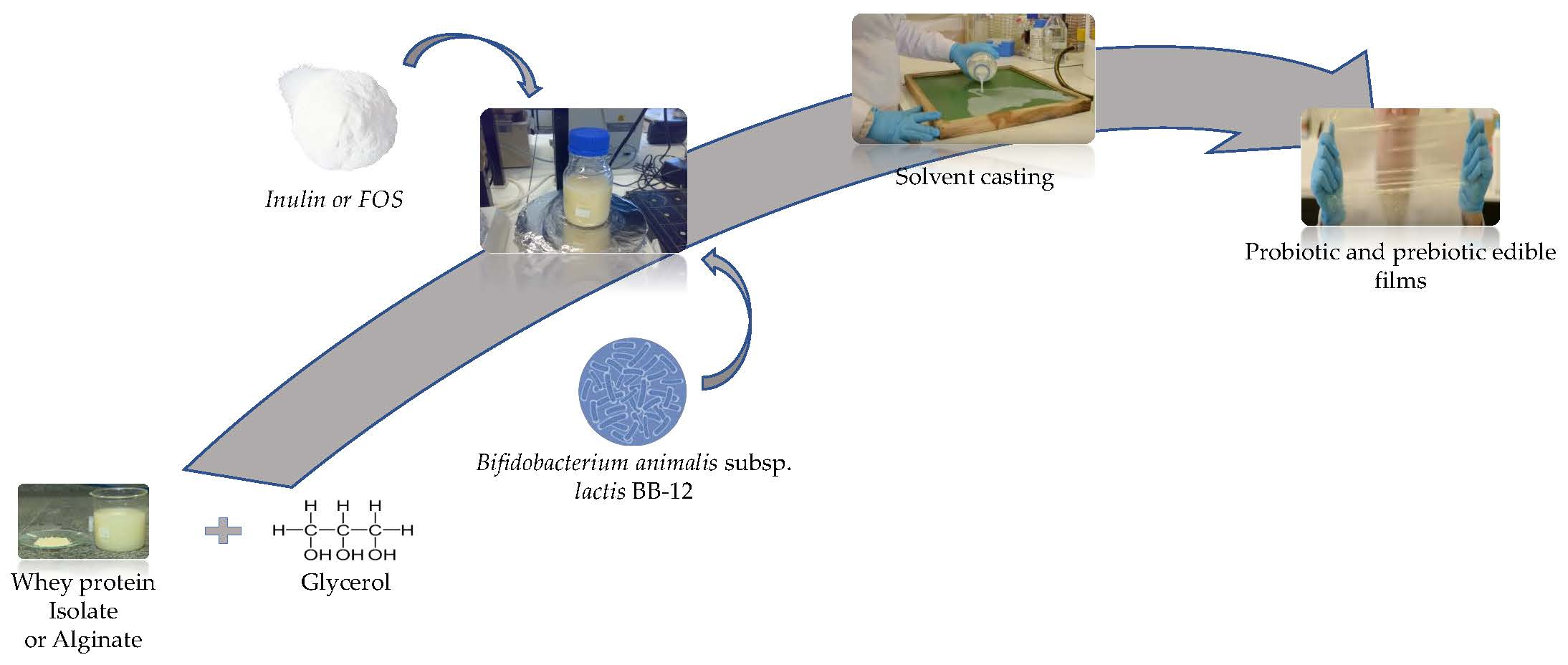 Coatings | Free Full-Text | Characterization of Edible Films Based on ...