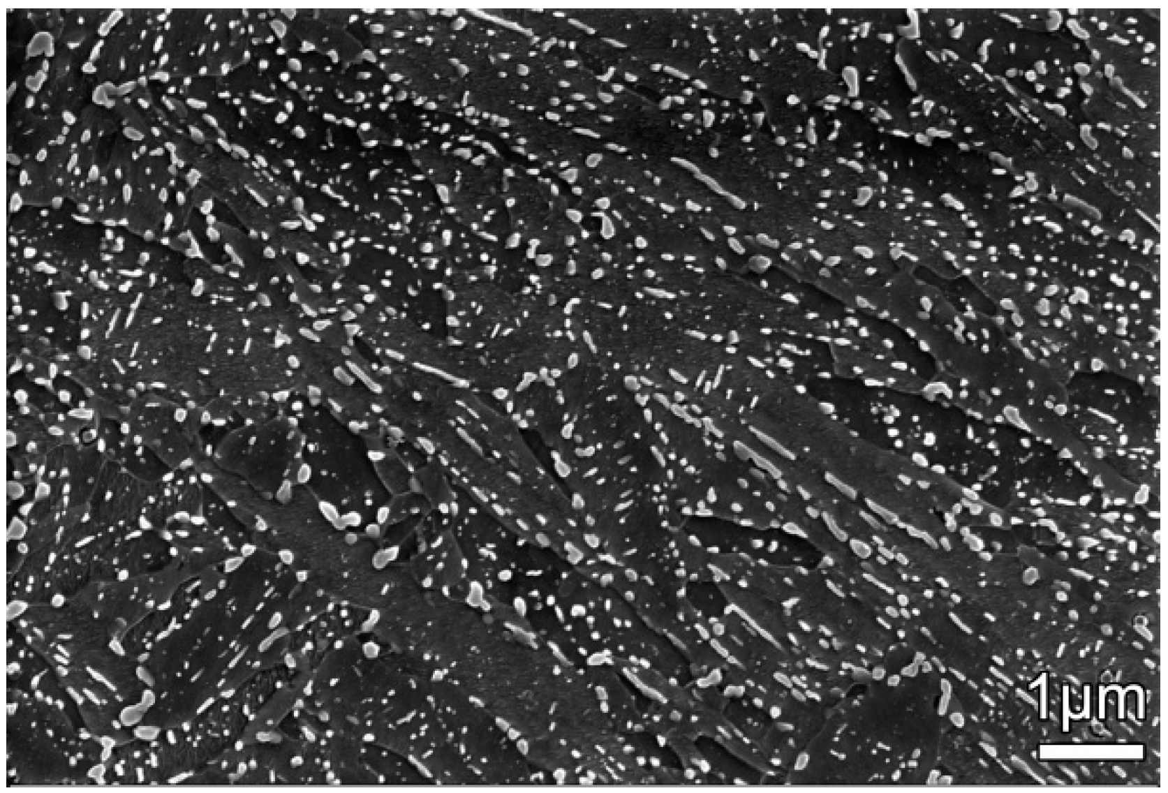 Microstructures and Wear Resistance of Boron-Chromium Duplex-Alloyed ...