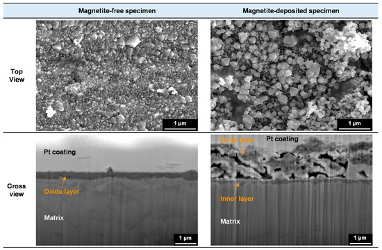Coatings | Free Full-Text | Magnetite-Accelerated Corrosion of SA508 ...