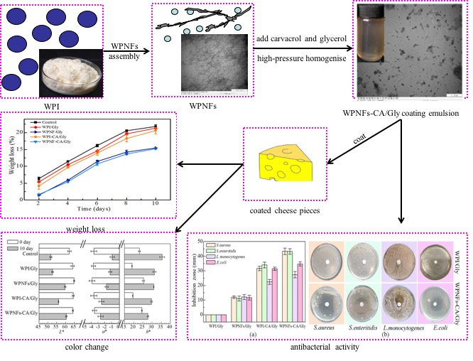 Coatings | Free Full-Text | Novel Edible Coating with Antioxidant and ...
