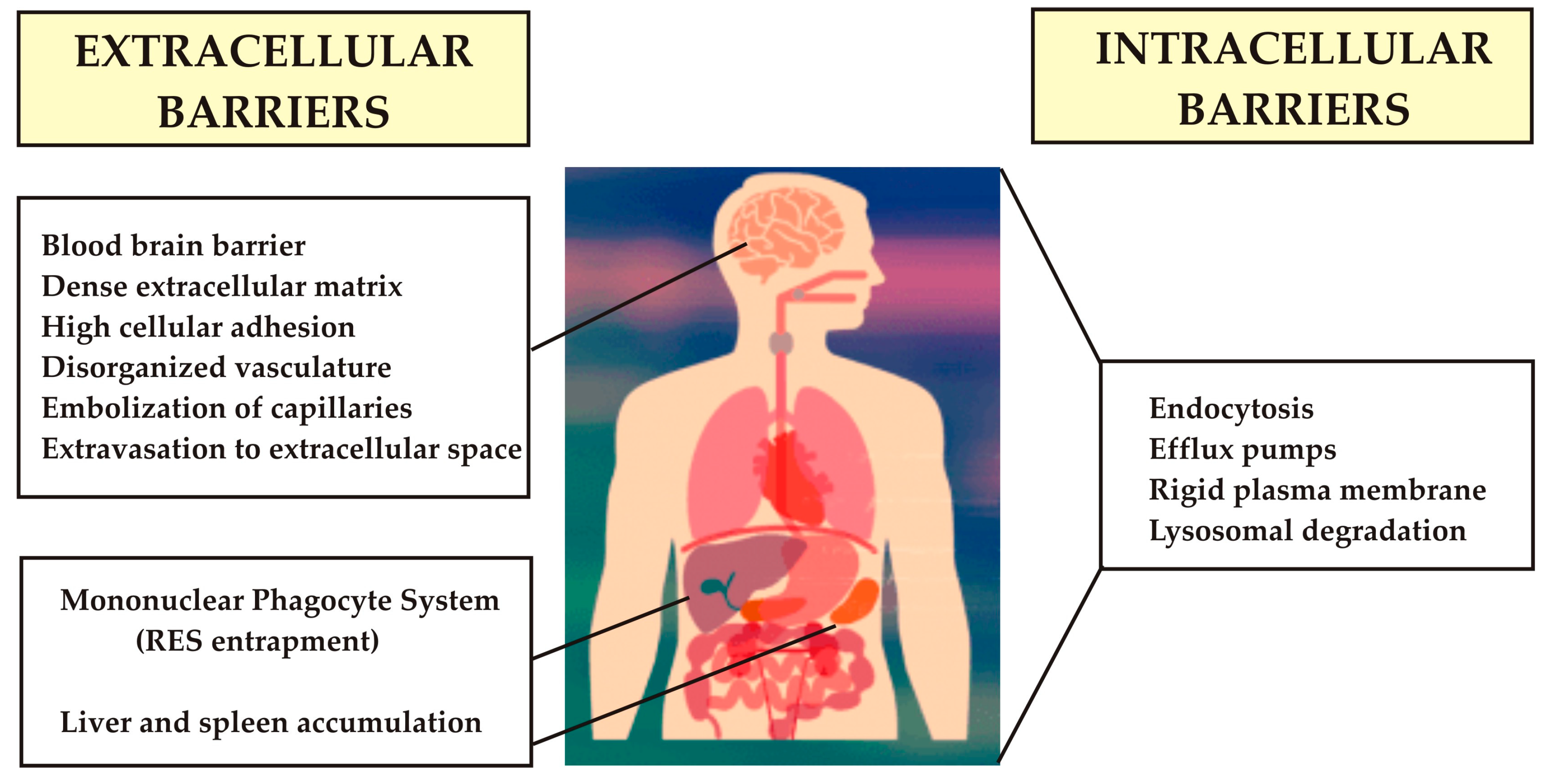Benefits of Nanomedicine for Therapeutic Intervention in Malignant Diseases