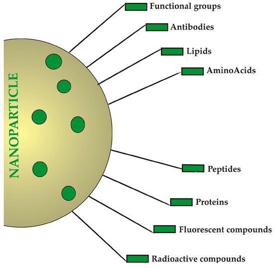 Benefits of Nanomedicine for Therapeutic Intervention in Malignant Diseases