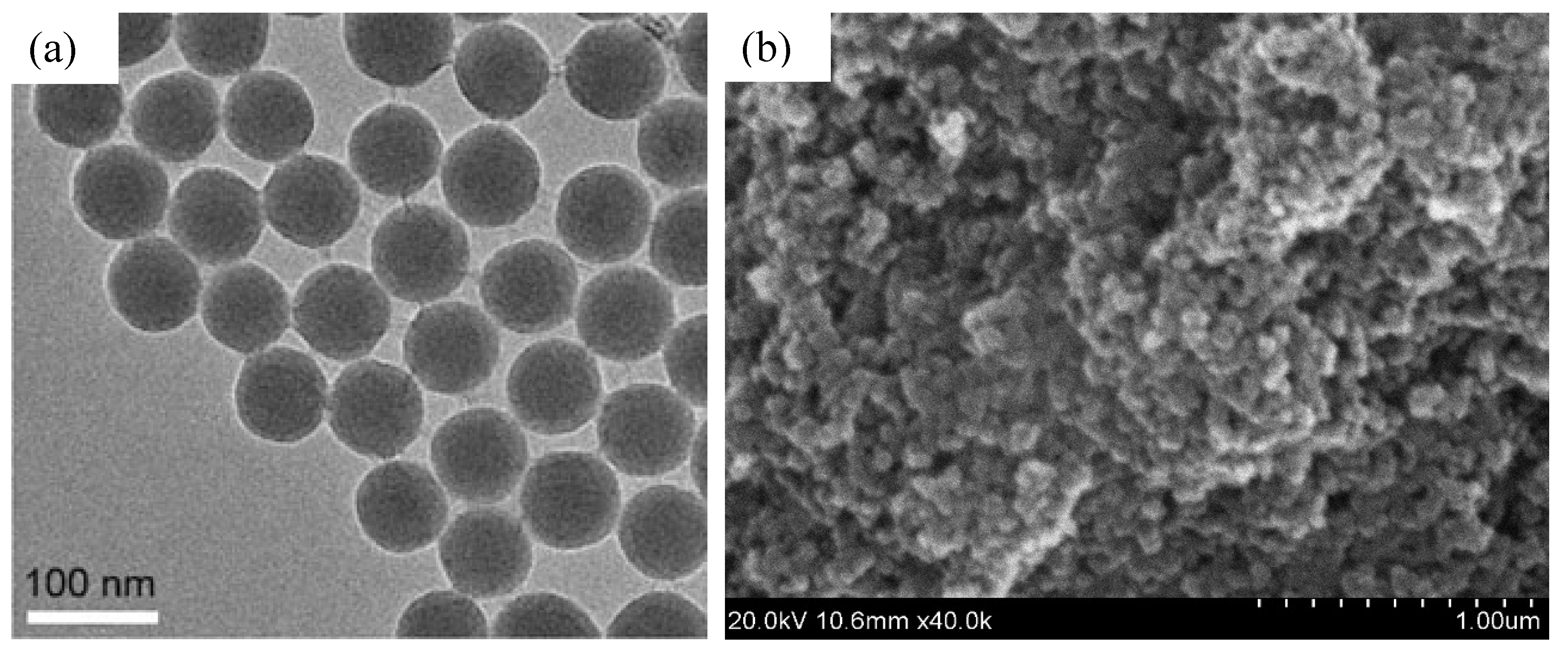 Simple and Rapid High-Yield Synthesis of Sub-100 nm Nano-SiO2·0.5H2O ...