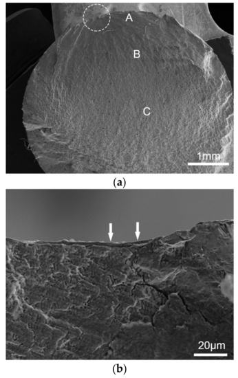 Fatigue and Mechanical Behavior of Ti-6Al-4V Alloy with CrN and TiN ...