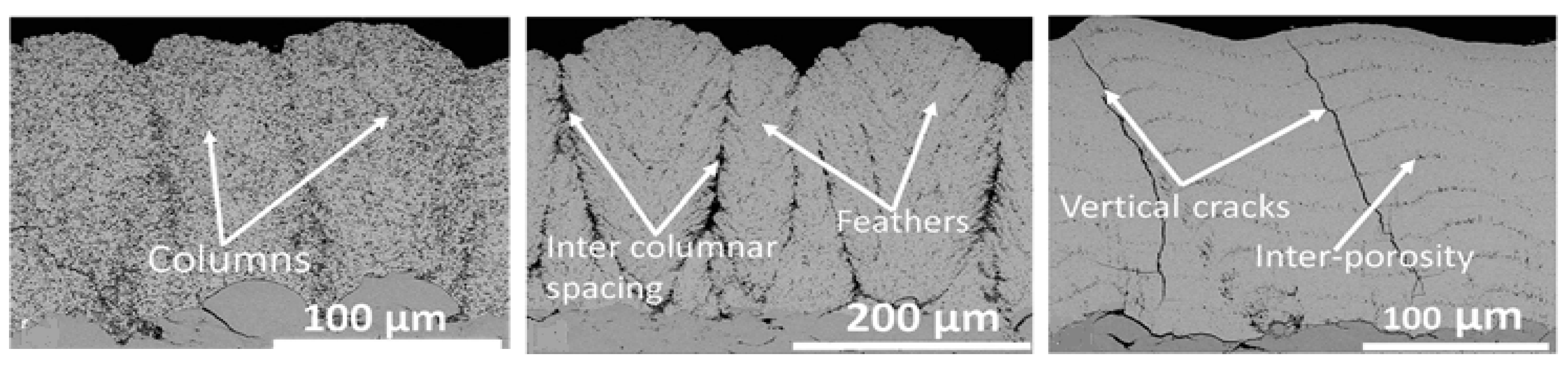 Influence of Substrate Shape and Roughness on Coating Microstructure in Suspension Plasma Spray