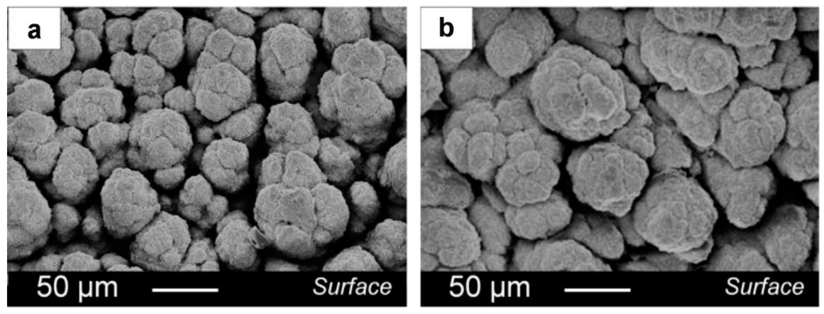 Influence of Substrate Shape and Roughness on Coating Microstructure in ...