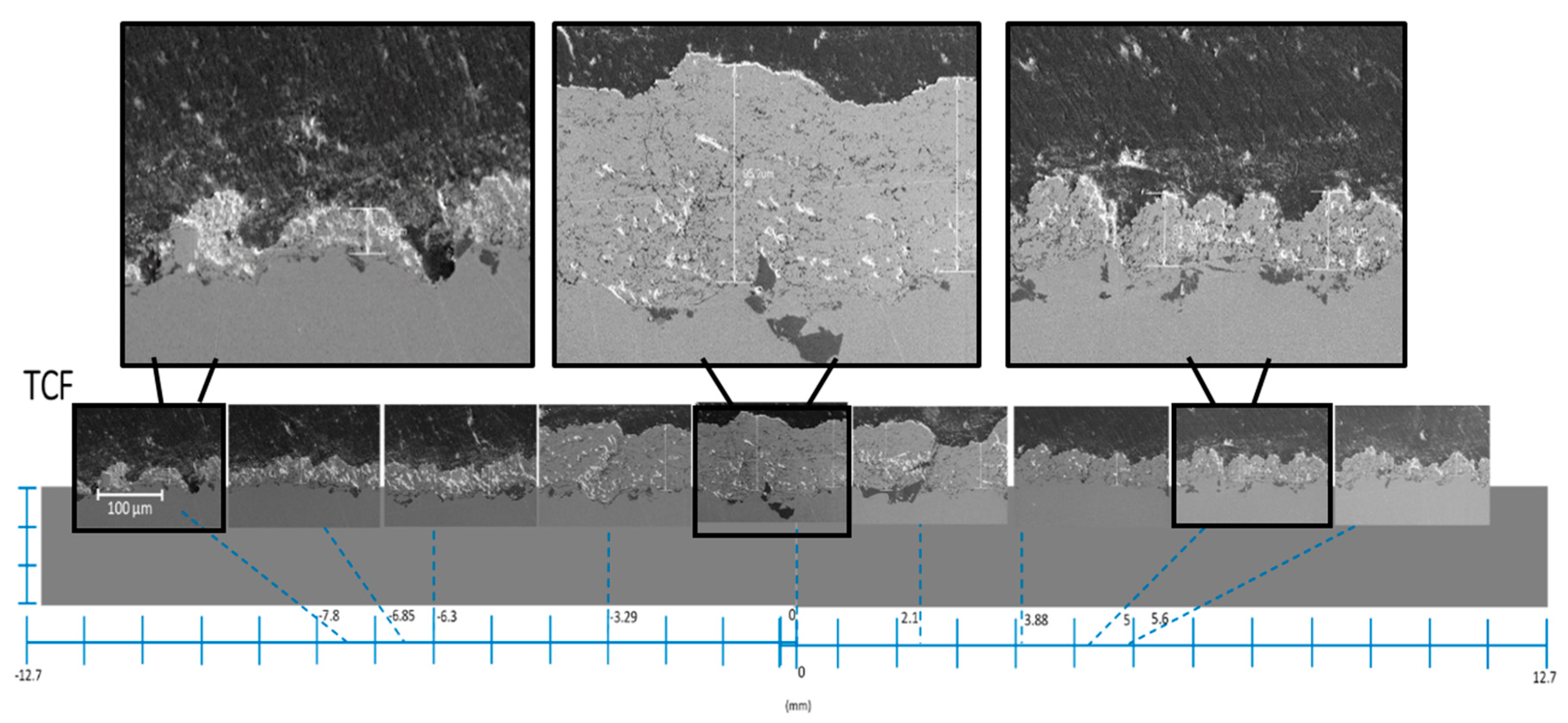 Coatings | Free Full-Text | Influence of Substrate Shape and Roughness ...