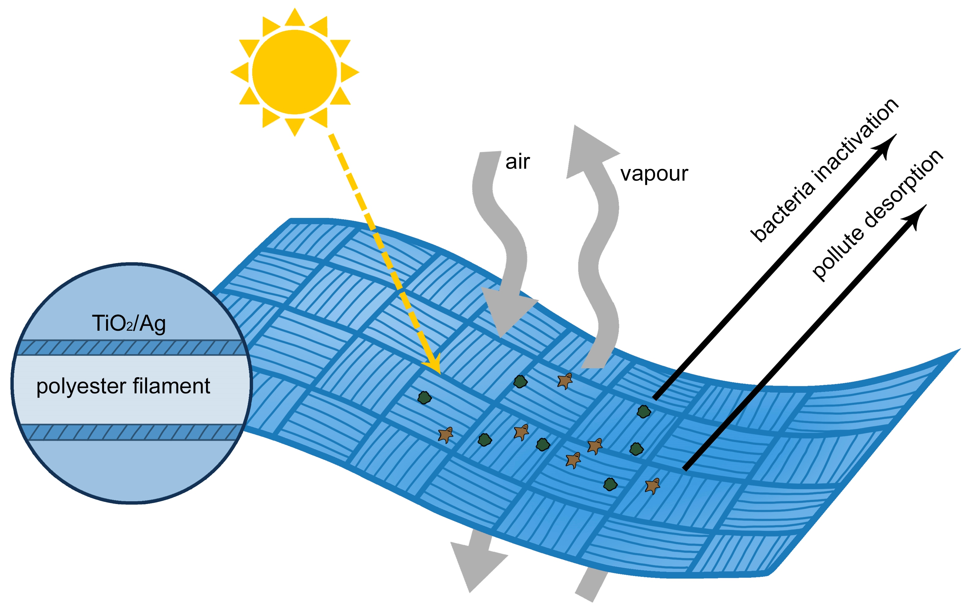 Coatings | Free Full-Text | Formation of Coatings Based on Titanium ...