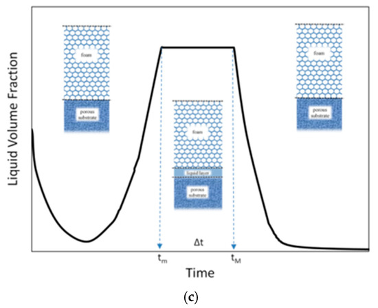Foam Formation and Interaction with Porous Media