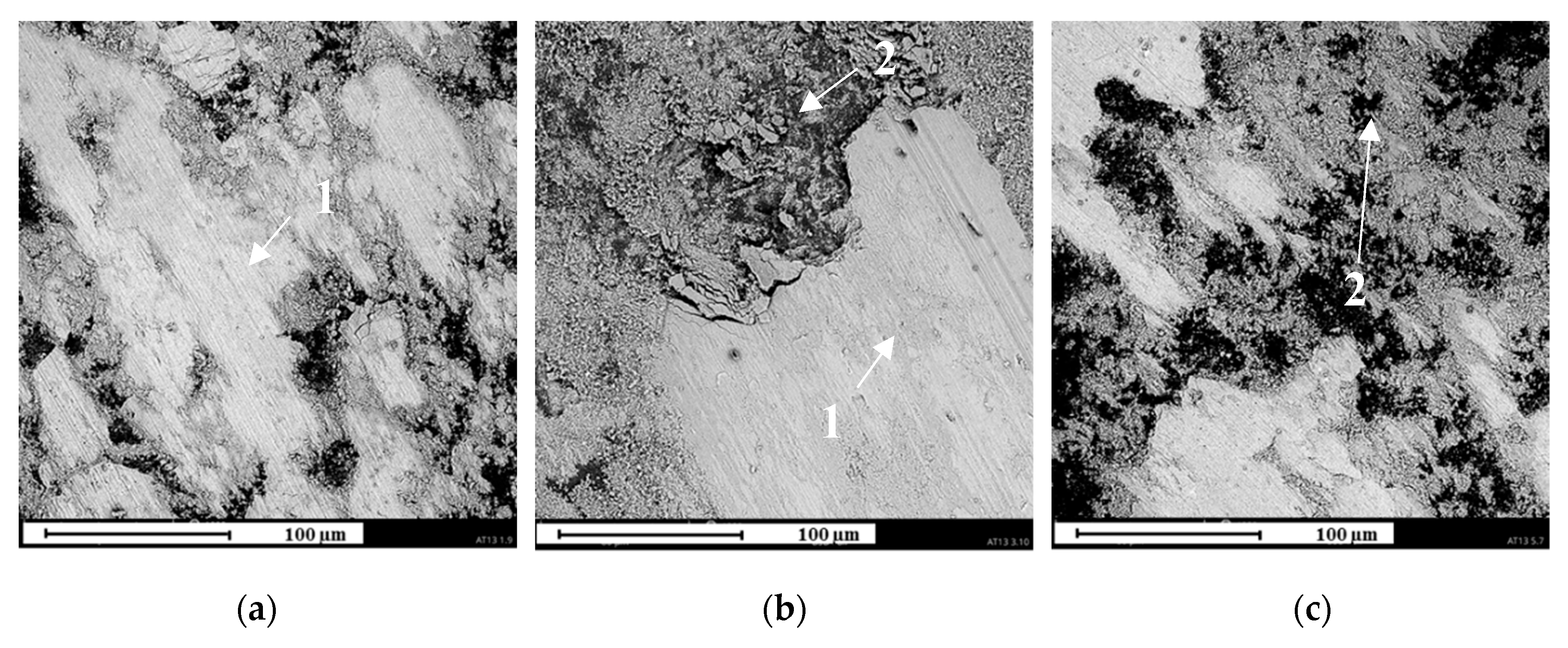 The Microstructure and Selected Mechanical Properties of Al2O3 + 13 wt ...