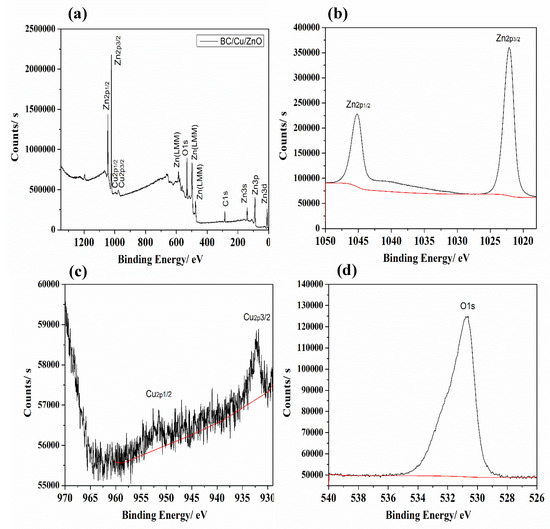 Surface Modification of Bacterial Cellulose by Copper and Zinc Oxide ...