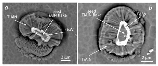 Review of Growth Defects in Thin Films Prepared by PVD Techniques