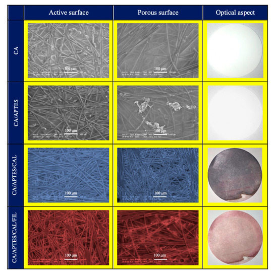 Synthesis and Characterization of Cellulose Acetate Membranes with Self ...