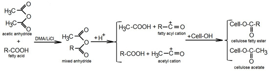 Wood Surface Modification—Classic and Modern Approaches in Wood ...