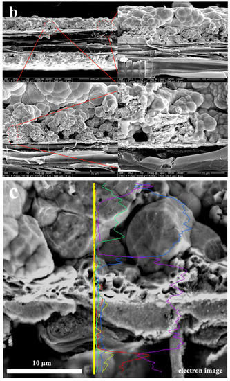 Multilayer-Structured Wood Electroless Cu–Ni Composite Coatings for ...