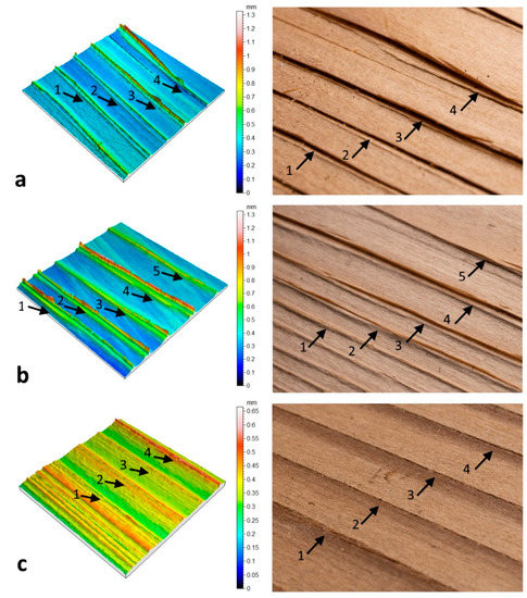 Shelling of Growth Rings at Softwood Surfaces Exposed to Natural Weathering