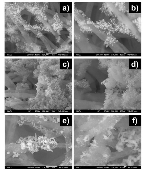 Sol–Gel and Electrospinning Synthesis of Silica–Hydroxyapatite–Silver ...