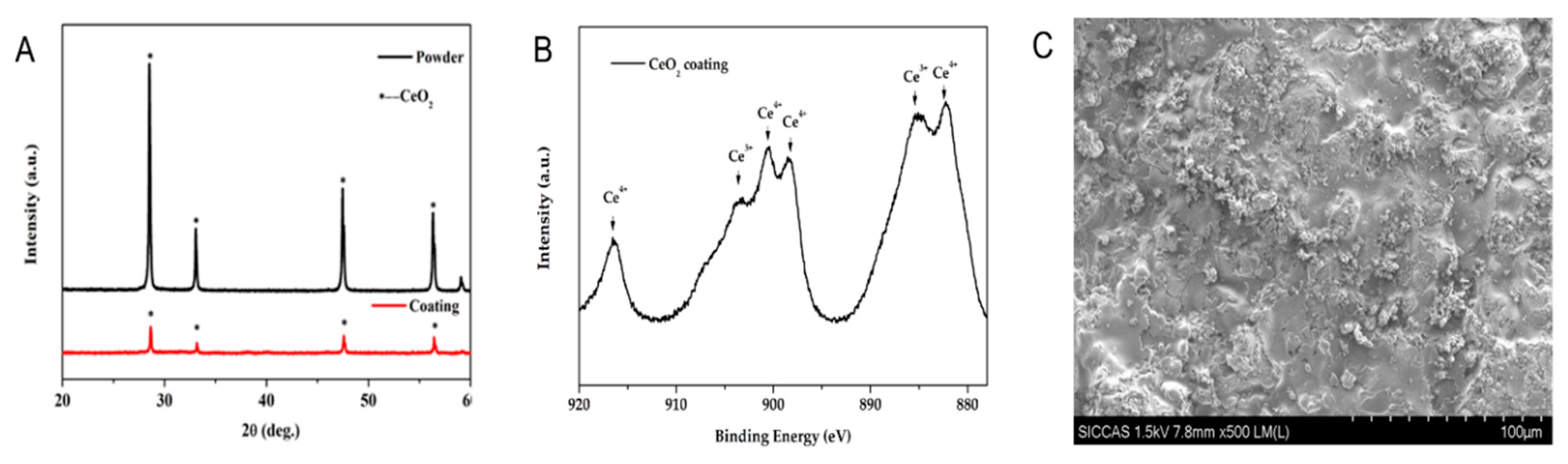 Osteogenic and Antibacterial Activity of a Plasma-Sprayed CeO2 Coating ...