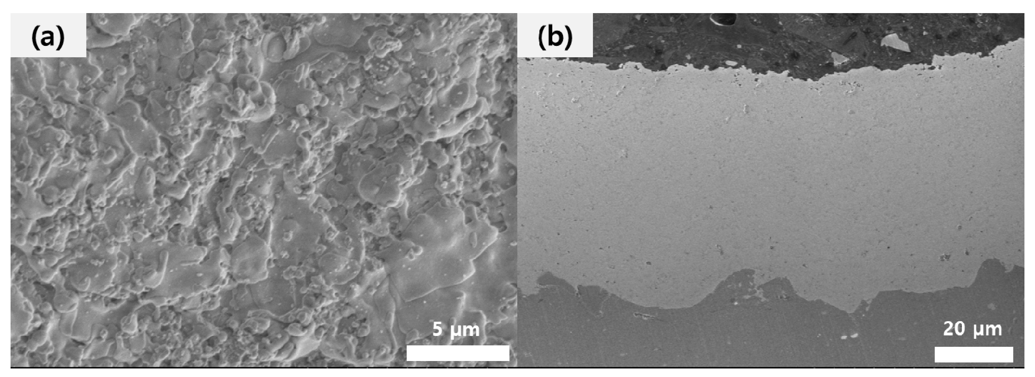 Plasma Etching Behavior of YOF Coating Deposited by Suspension Plasma ...