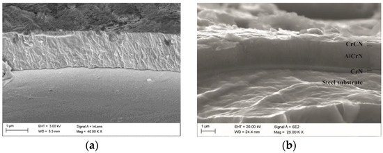 Structure and Tribological Properties of AlCrN + CrCN Coating