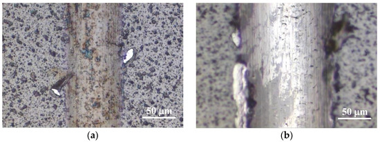 Structure and Tribological Properties of AlCrN + CrCN Coating