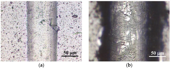 Structure and Tribological Properties of AlCrN + CrCN Coating