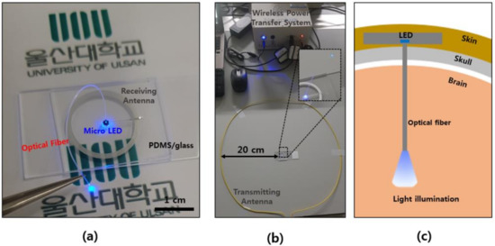 Biodegradable Optical Fiber in a Soft Optoelectronic Device for ...