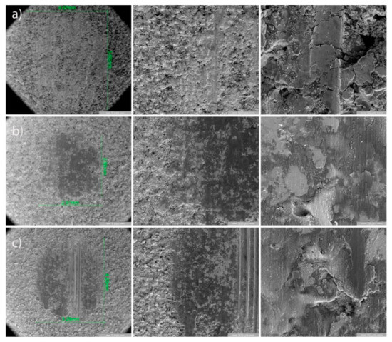 Coatings | Free Full-Text | Microstructural Analysis and Tribological ...