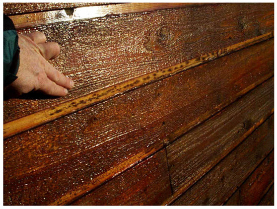 Fungal Degradation of Wood: Emerging Data, New Insights and Changing ...