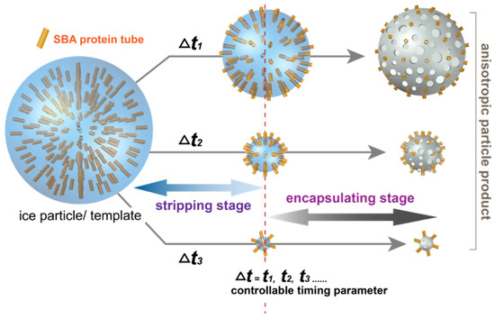 Vapor-Stripping and Encapsulating to Construct Particles with Time ...