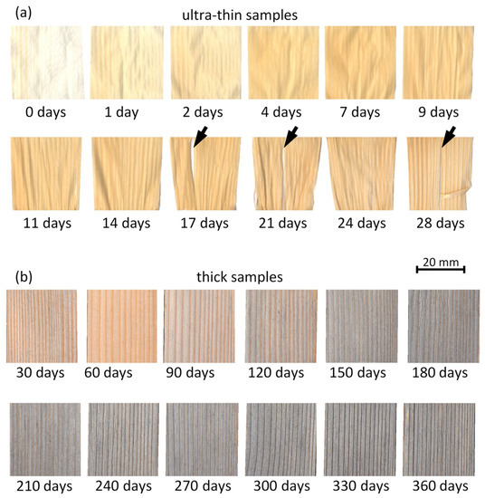 A Method for Accelerated Natural Weathering of Wood Subsurface and Its ...