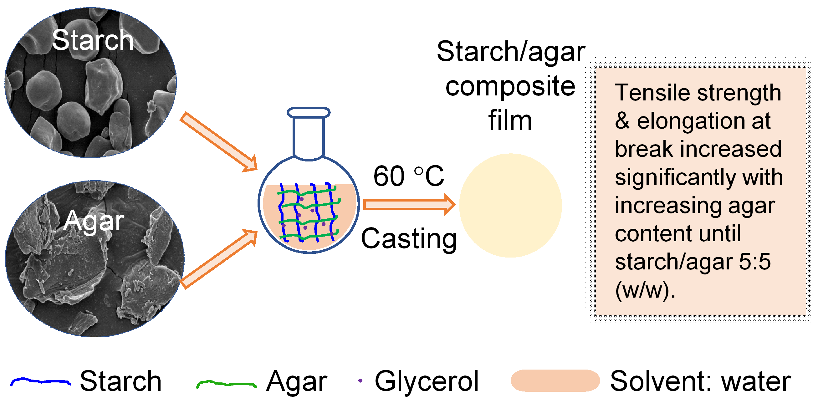 Coatings | Free Full-Text | Plasticized Starch/Agar Composite Films ...