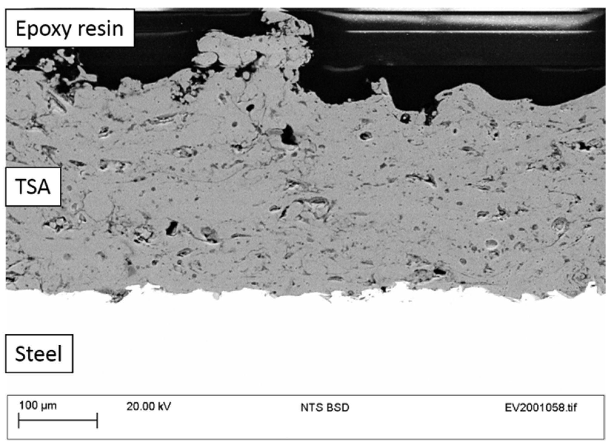 Prediction of Thermal Spray Coatings Performance in Marine Environments ...