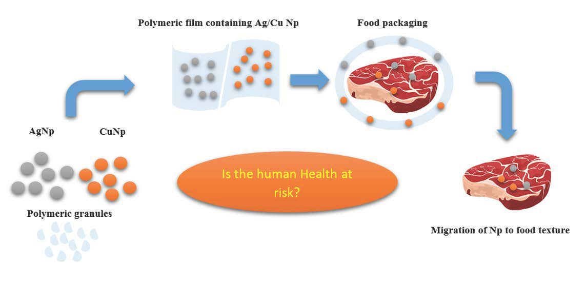 Coatings | Free Full-Text | Migration of Silver and Copper ...
