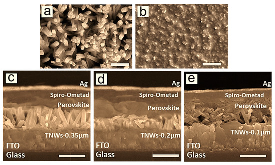 Solid-State Solar Cells Based on TiO2 Nanowires and CH3NH3PbI3 Perovskite