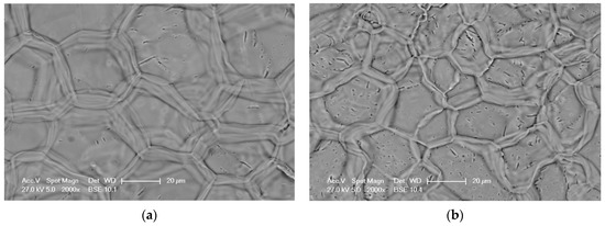 Diffusion Aluminide Coatings for Hot Corrosion and Oxidation Protection ...