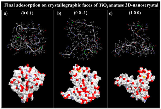 Surface Chemistry, Crystal Structure, Size and Topography Role in the ...