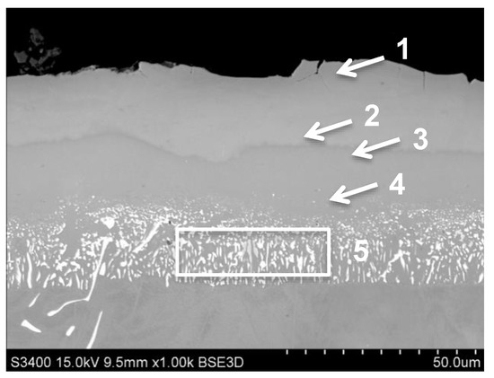 Microstructure of Aluminide Coatings Modified by Pt, Pd, Zr and Hf ...
