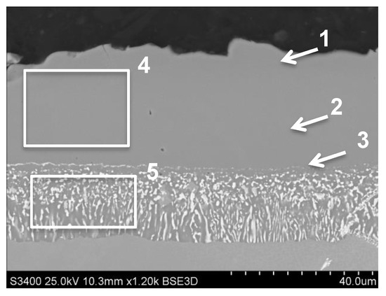 Microstructure of Aluminide Coatings Modified by Pt, Pd, Zr and Hf ...