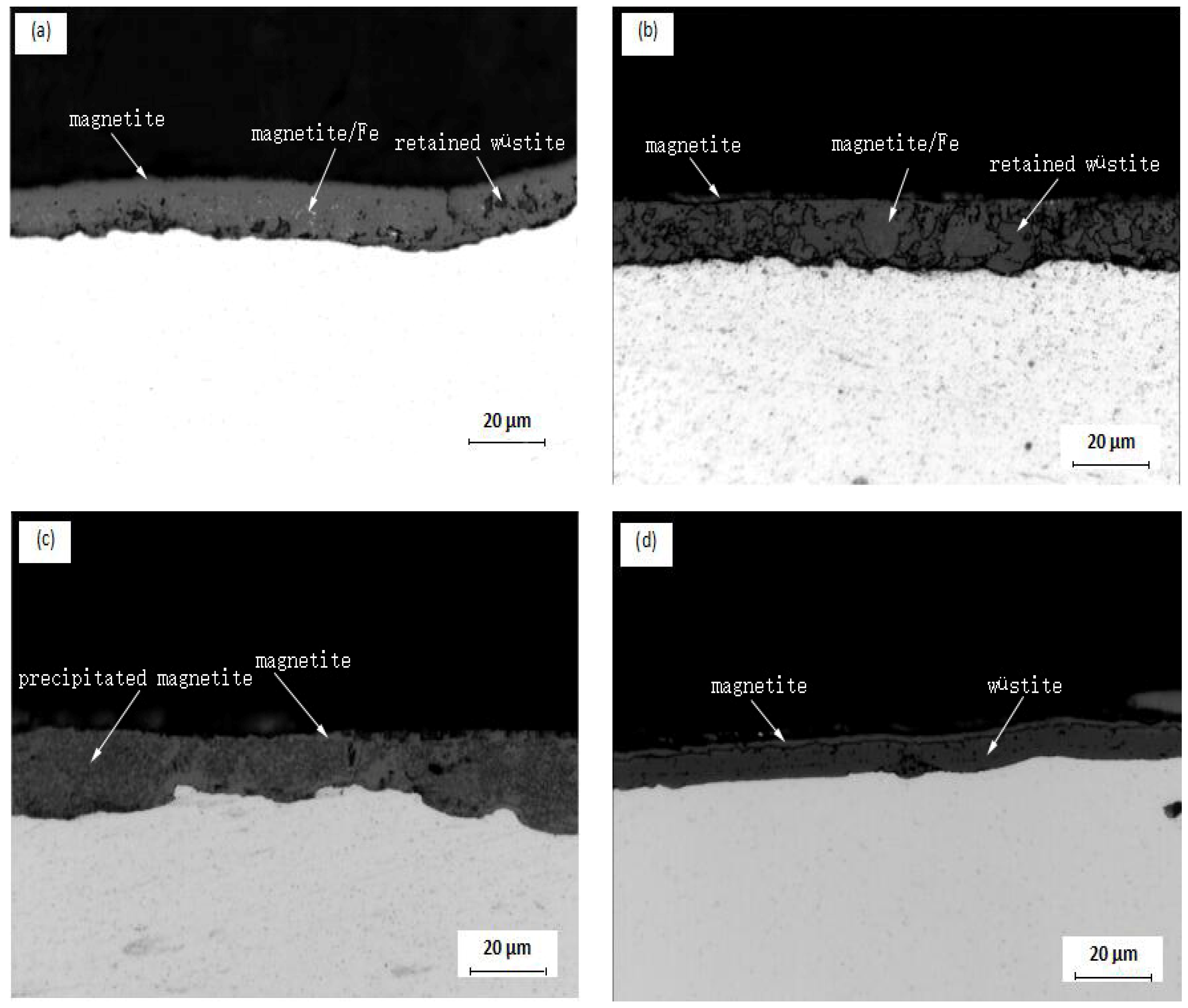 Effect of Oxide Scale Microstructure on Atmospheric Corrosion Behavior ...