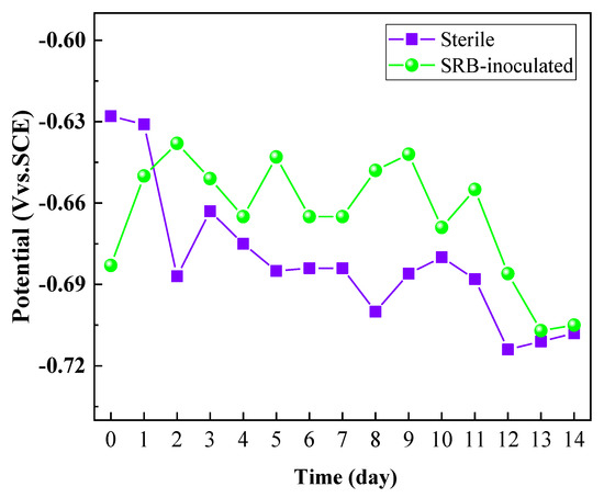 Effect of Sulfate-Reducing Bacteria (SRB) on the Corrosion of Buried ...